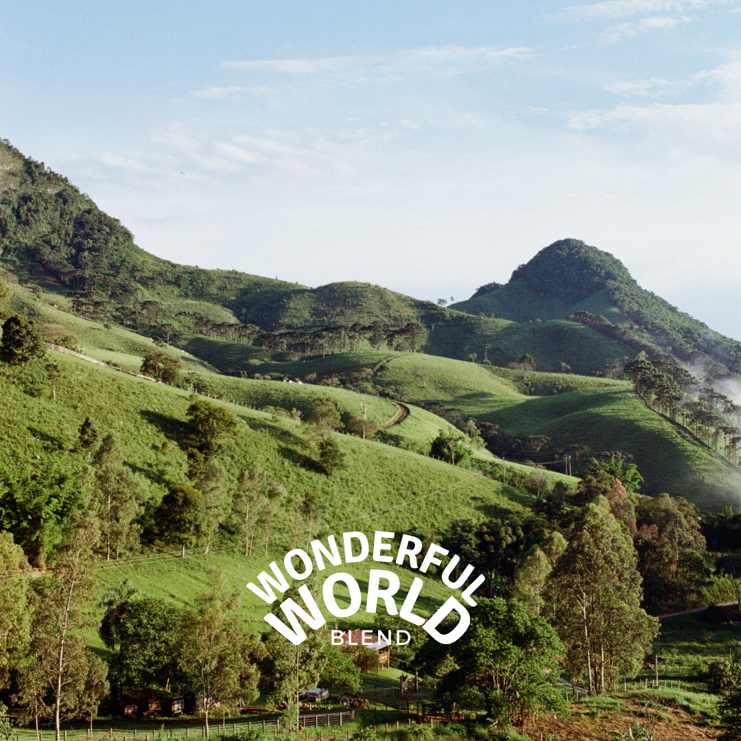 Wonderful World Blend – Short Sleeves Coffee